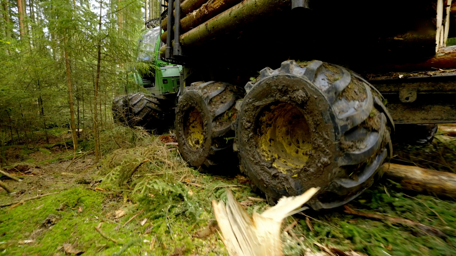 Forest King TRS 2 - Guertler / Nokian Tyres