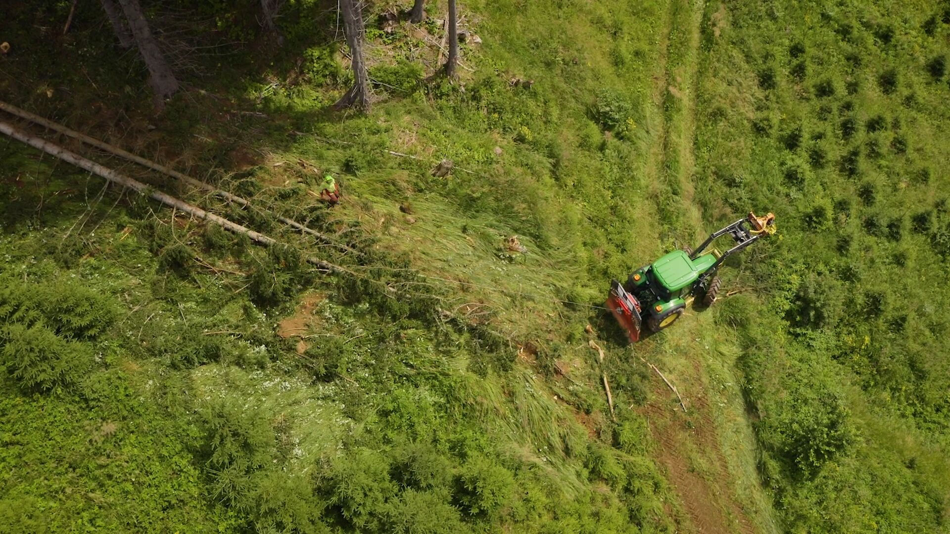 TR Forest 2 - Freitag / Nokian Tyres